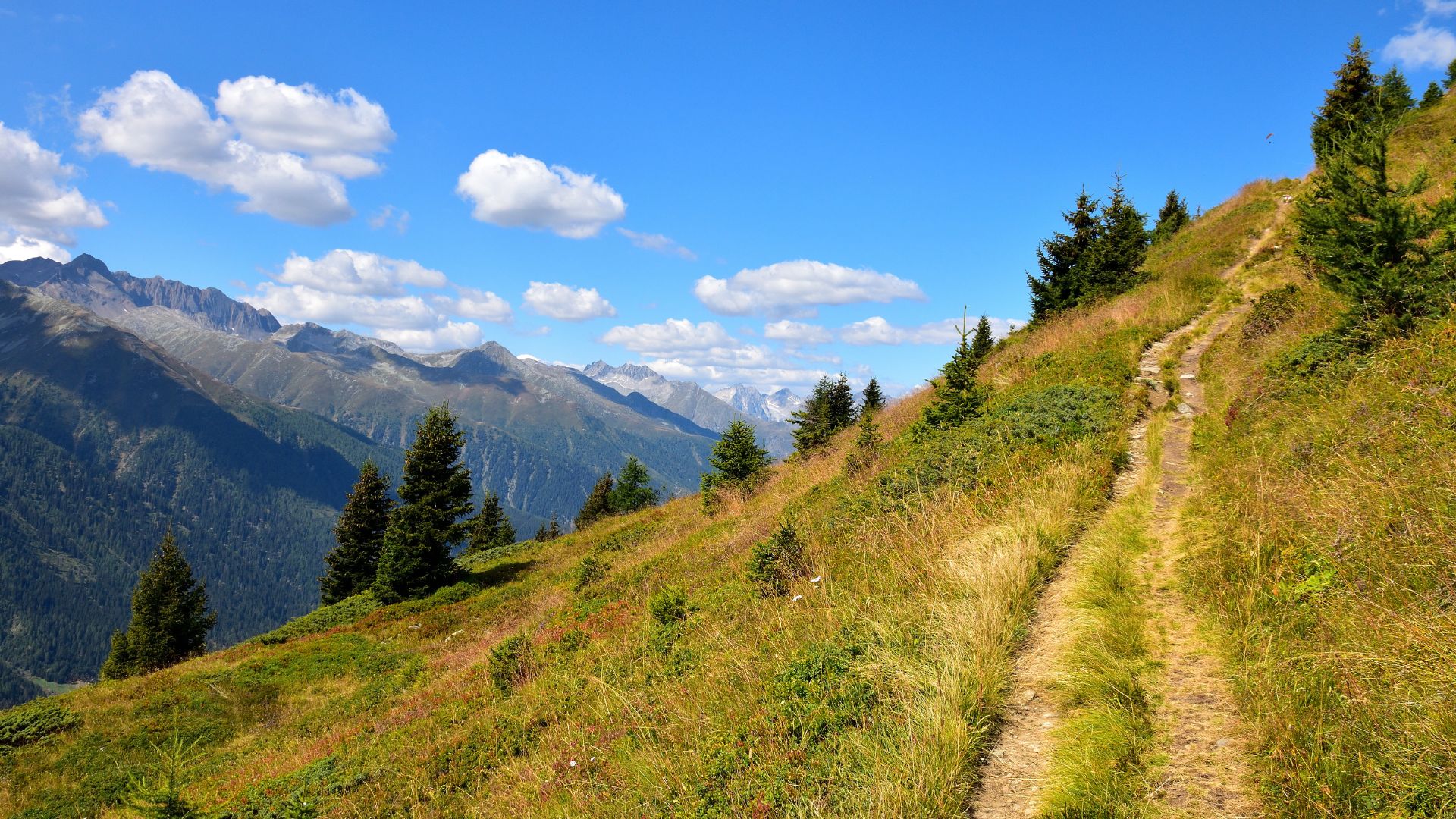 Blazing the Trail - Baker Heights